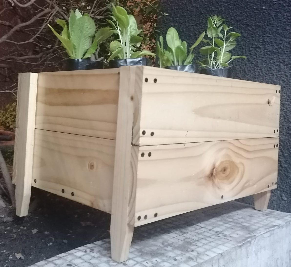 Kit de Macetero Rústico de Madera de Cultivo 🌾 Huertos Alma