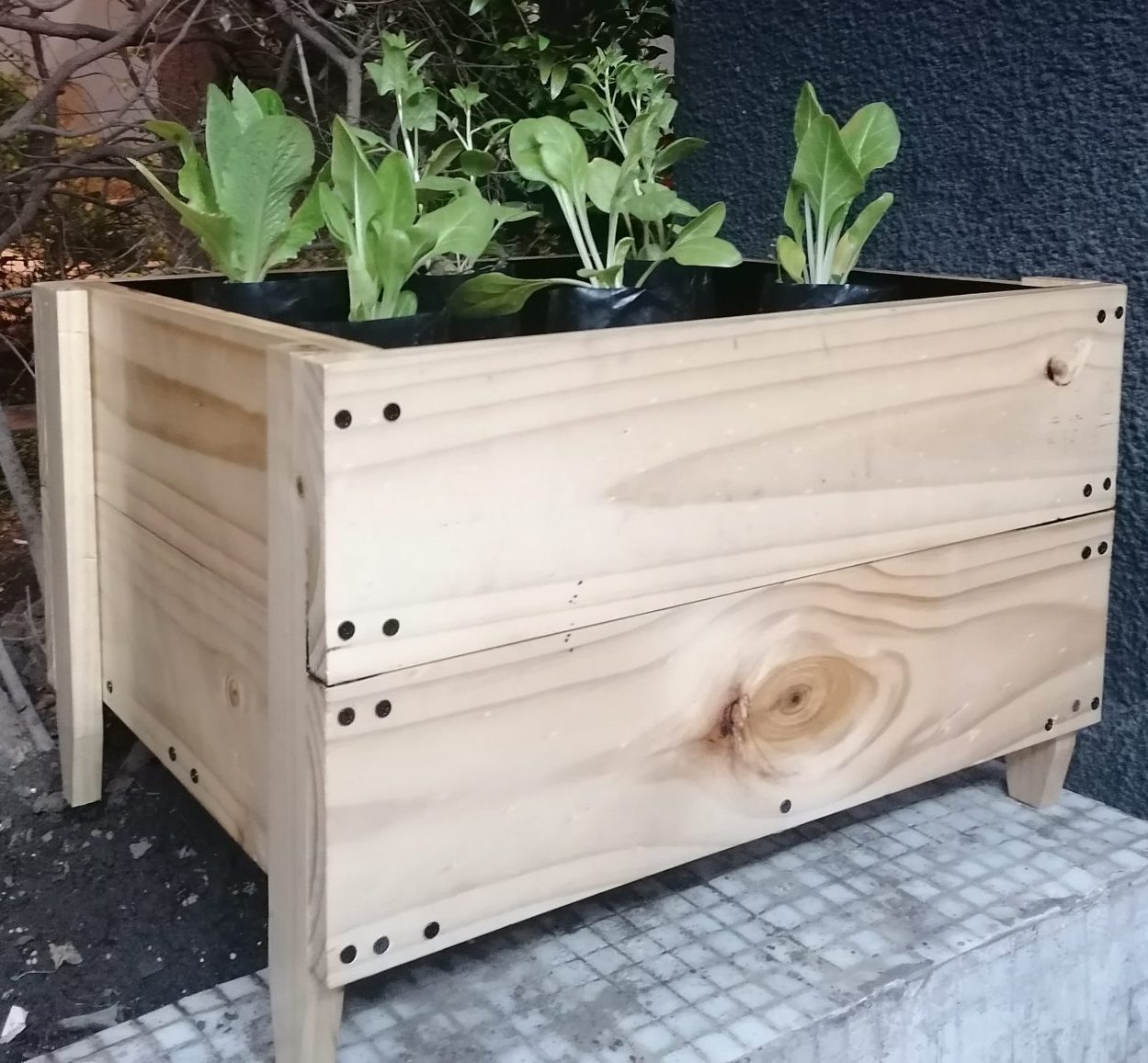 Kit de Macetero Rústico de Madera de Cultivo 🌾 Huertos Alma