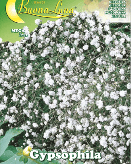 Semillas Europeas 🌾 Huertos Alma 🇪🇺 Estándar de Pureza y Calidad 🌱