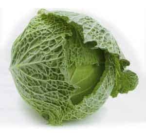 ᐅ Semillas de Repollo Mercado de Copenhague Coverno 500 Grs 🌾 Huertos ...